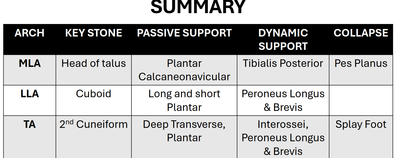 Arch Table and Opp, Cpp | Flashcards