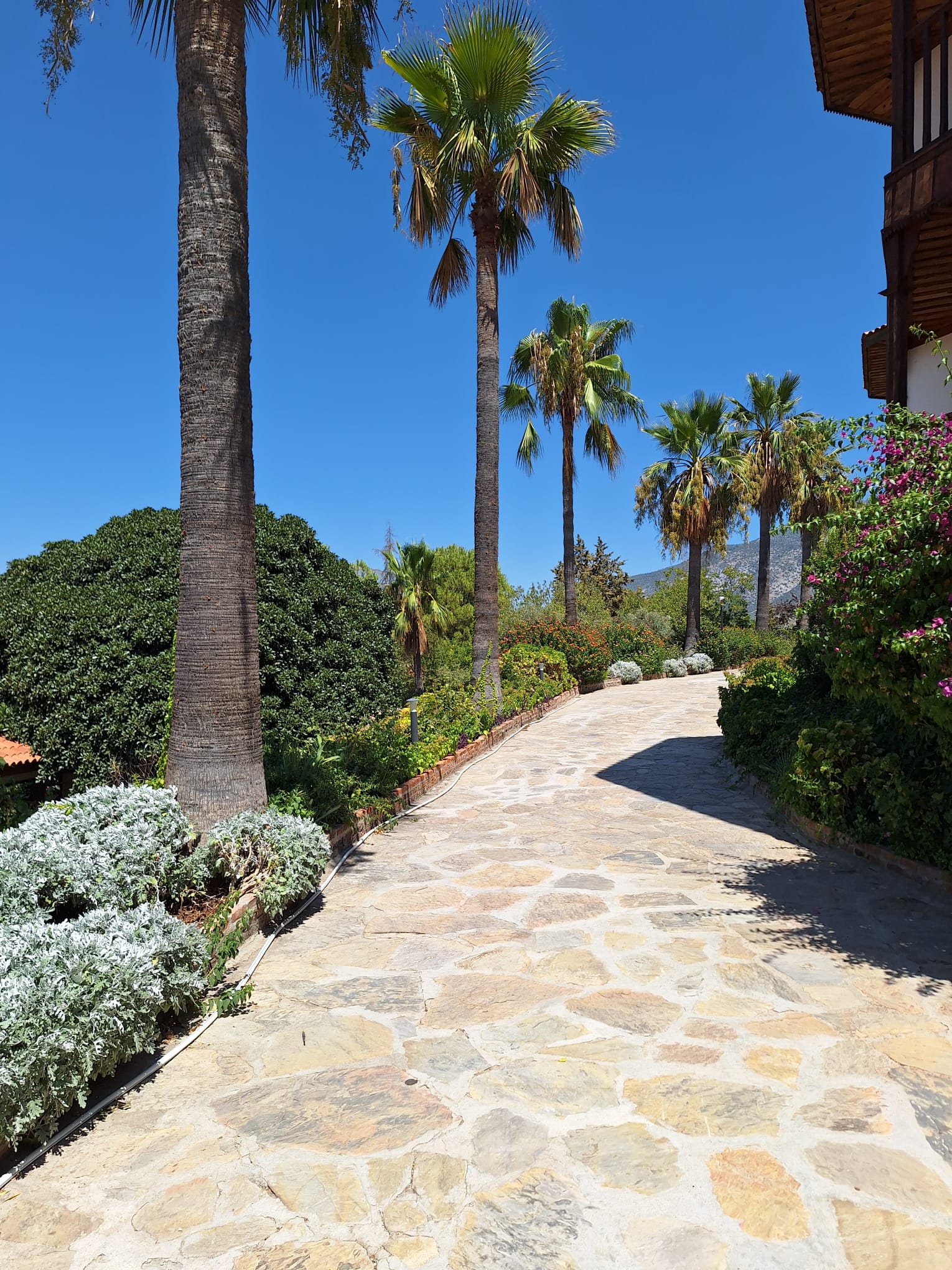 Concave Lens (triple) | Flashcards